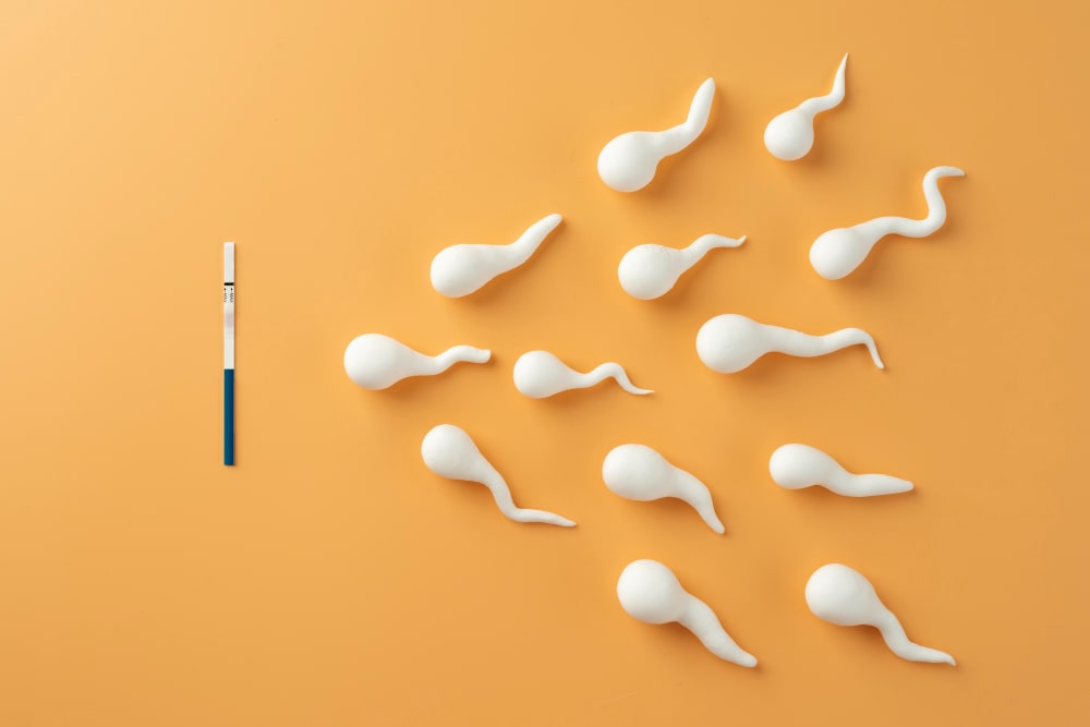 The Success Rate of IVF Cycles - Niramay IVF Centre